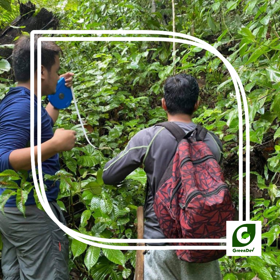 Species Identification by GreenDev